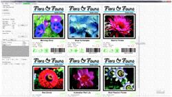 iSys Label Announces Variable Data Software - World of Print